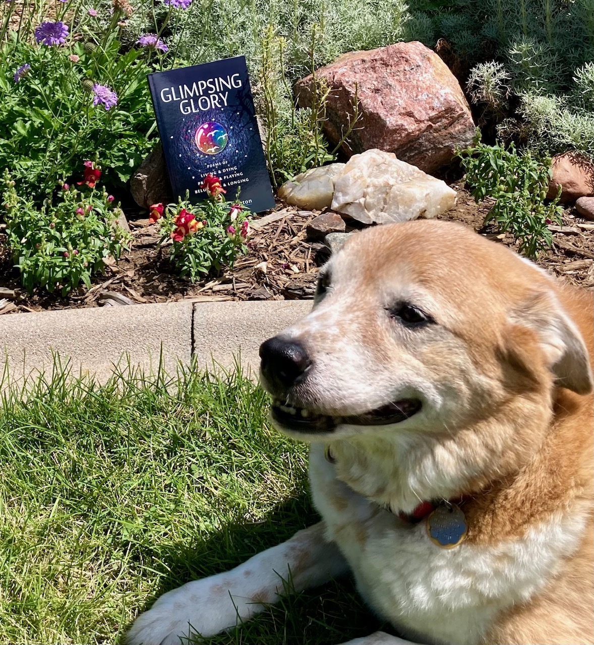 Dogs, Humor and Poetry? – CLADACH Publishing